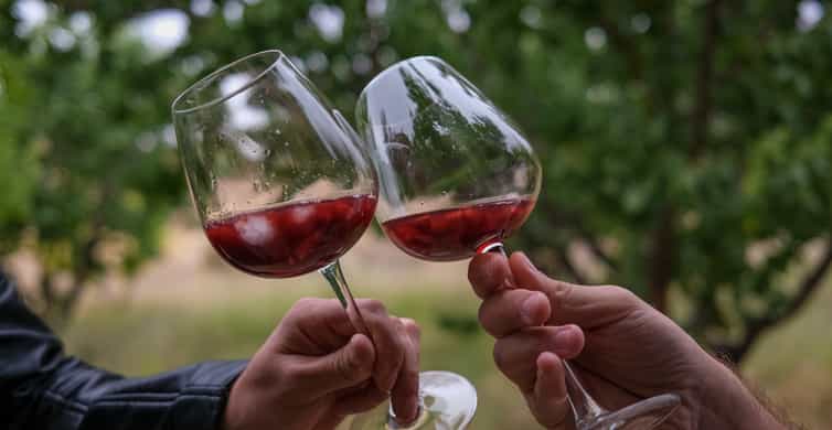 Areni Vineyards: pasto di 3 portate con vino nei vigneti | GetYourGuide