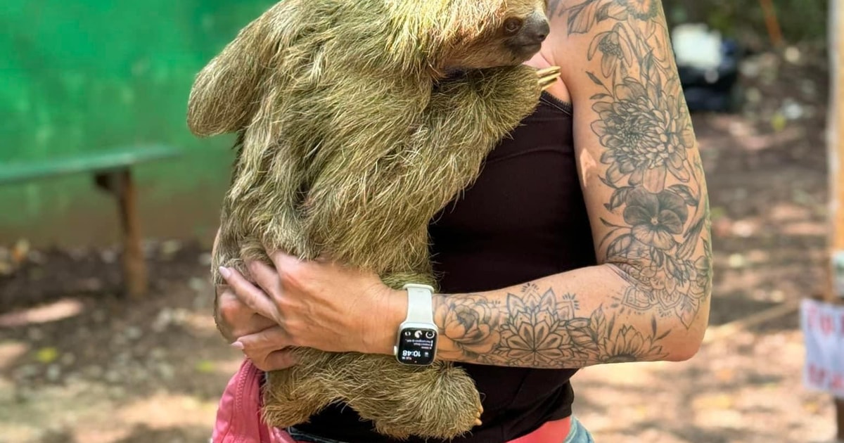 Roatán Mono y perezoso, Degustación de chocolate y ron escapada a la ...