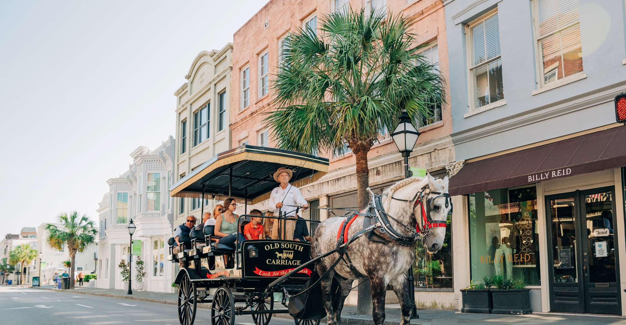 Charleston, Historical Downtown Tour by Horse-drawn Carriage | Guided ...