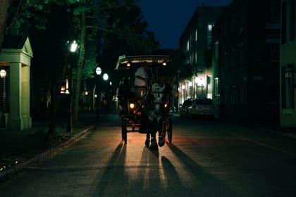 Charleston: Haunted Carriage Evening Tour | GetYourGuide