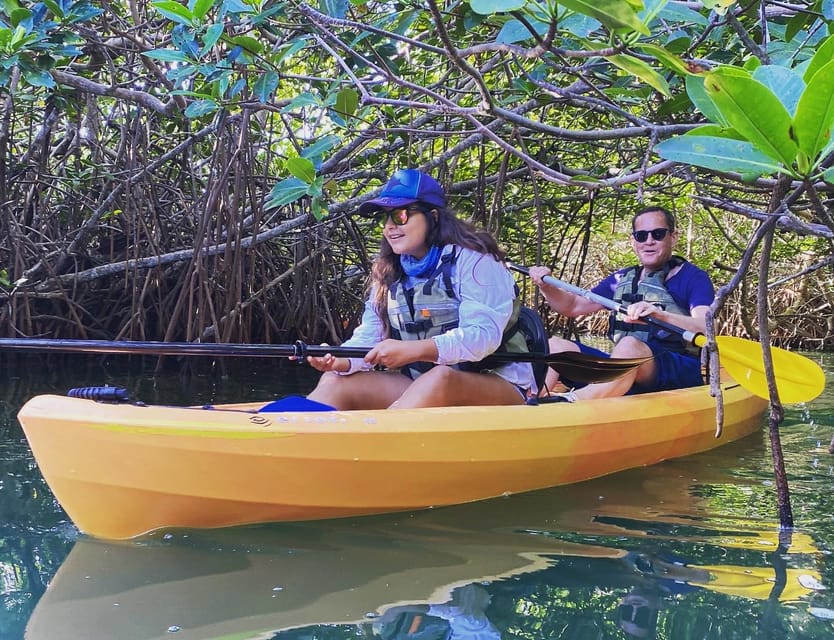 Cancún: Aventura en Kayak por la mañana o al atardecer en la Laguna ...