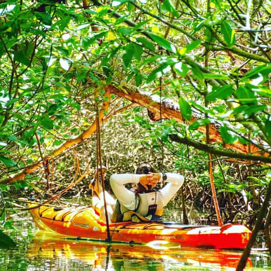Cancún: Morning or Sunset Kayak Adventure in Nichupte Lagoon | GetYourGuide