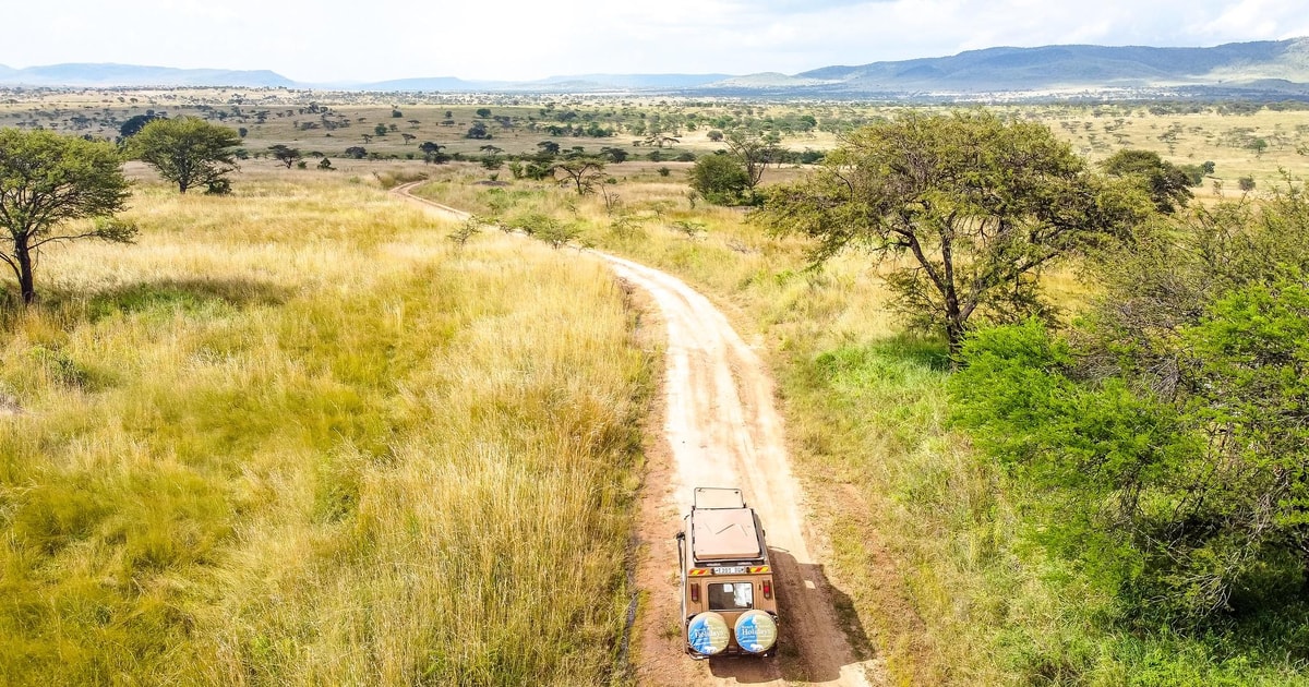 Day safari Lake Ndutu & Central Serengeti from Zanzibar | GetYourGuide