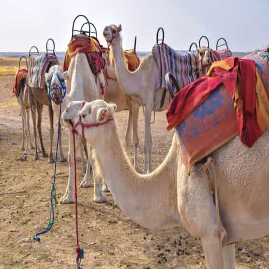 Marrakech: Atlas Mountain & Berber villages & Camel Ride | GetYourGuide