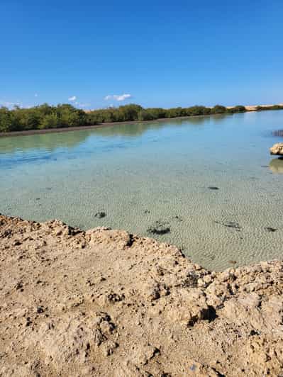Sharm el-Sheikh: Excursión de un día al Parque Ras Mohammed y al Lago ...