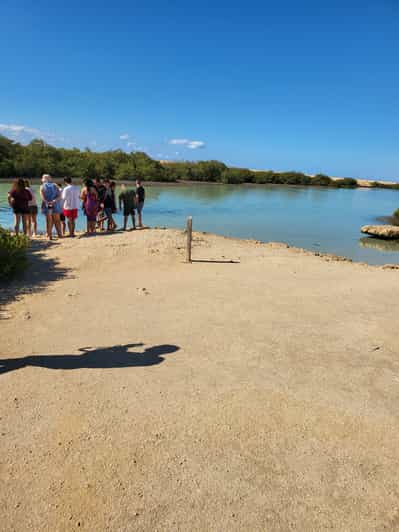 Sharm el-Sheikh: Excursión de un día al Parque Ras Mohammed y al Lago ...