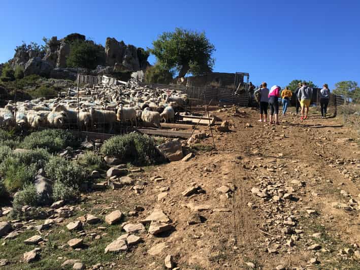 Crete: White Mountains Preserve Day Tour | GetYourGuide