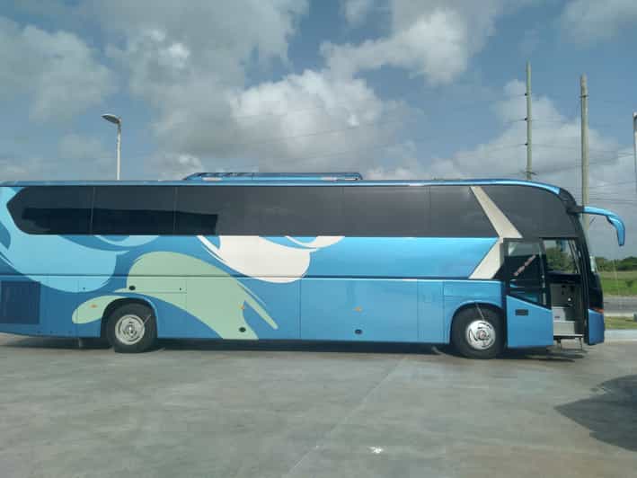 Punta Cana: Airport Transfer by Private Shuttle | GetYourGuide