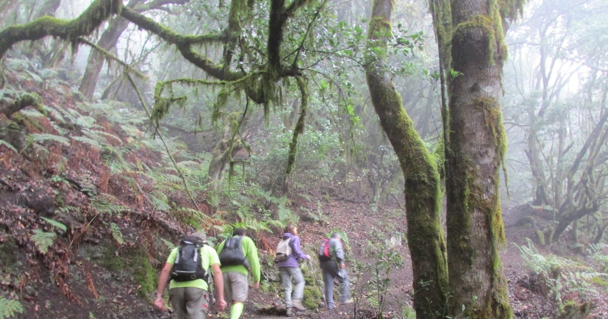 La Gomera: Hamlets of the North Hiking Route Tour | GetYourGuide