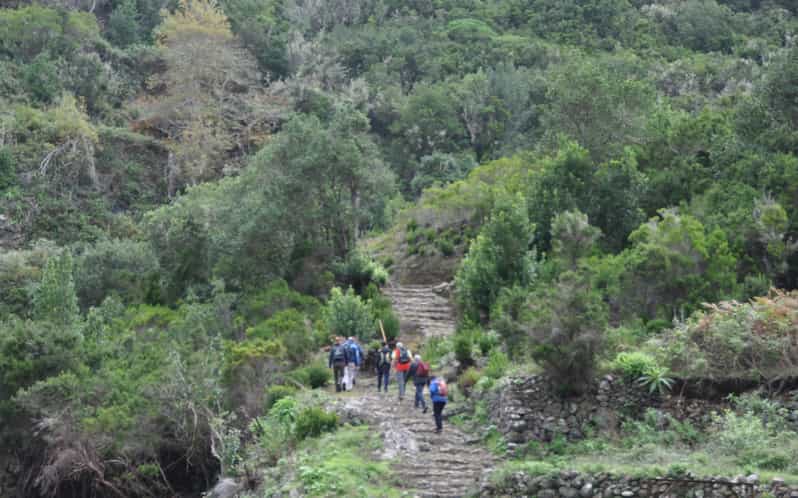 La Gomera: Hamlets of the North Hiking Route Tour | GetYourGuide