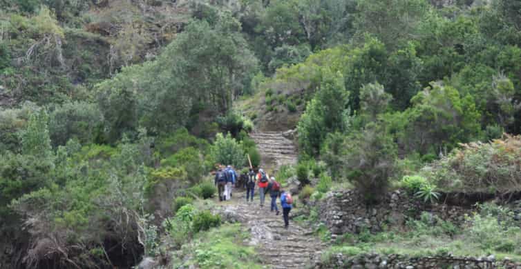 La Gomera: Hamlets of the North Hiking Route Tour | GetYourGuide