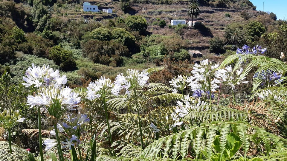 La Gomera: Hamlets of the North Hiking Route Tour | GetYourGuide