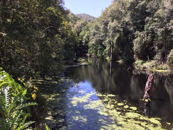 La Gomera: Hamlets of the North Hiking Route Tour | GetYourGuide