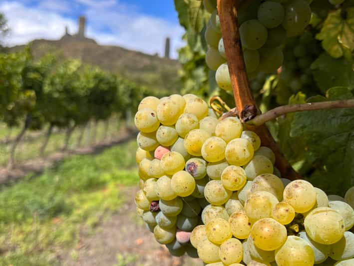 Czech Vineyards and Wine Tasting Off-Road Tour from Prague | GetYourGuide