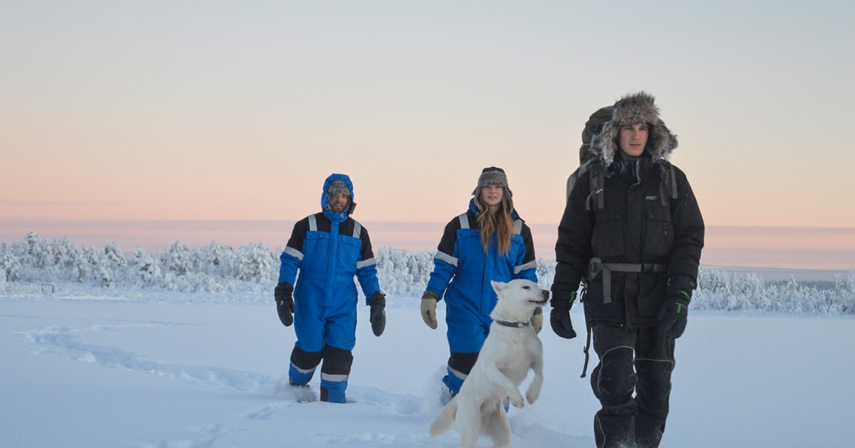 Kiruna: Snowshoe Hike & Ice fishing Tour | GetYourGuide
