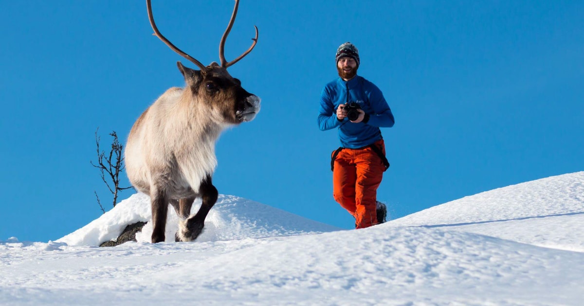 Arctic Nature Tour from Tromsø | GetYourGuide