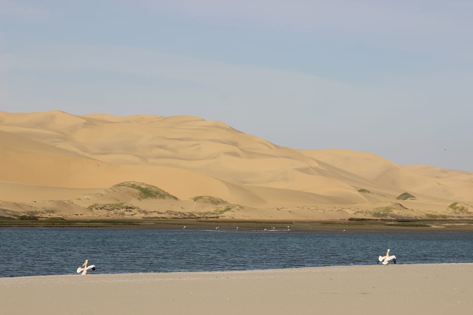 Walvisbaai: schilderachtige excursie van een halve dag in een 4x4 naar ...