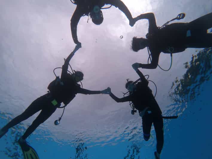 From Pattaya: Snorkeling or Beginner Scuba Diving Tour | GetYourGuide