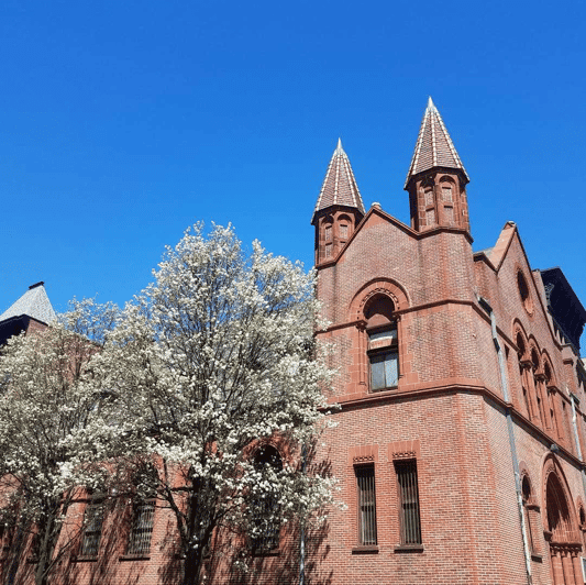New York City: Columbia University a Harlem | GetYourGuide