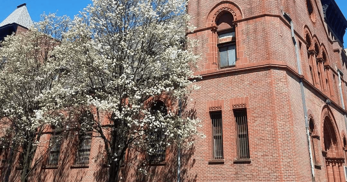 New York City: Columbia University and Harlem | GetYourGuide
