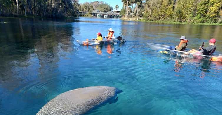 Silver Springs: Manatees and Monkeys Clear Kayak Guided Tour | GetYourGuide