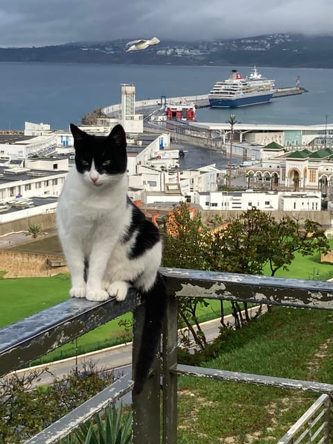 Tanger: ontdekkingstocht langs hoogtepunten van de stad | GetYourGuide