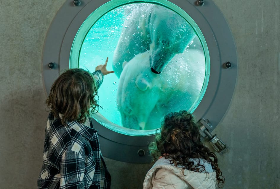 Emmen: Wildlands Adventure Zoo and Rimbula River Cruise | GetYourGuide