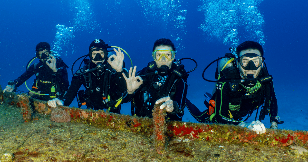 Cozumel : Cours de plongée PADI en eau libre | GetYourGuide Cozumel : Cours de plongée PADI en eau libre | GetYourGuide