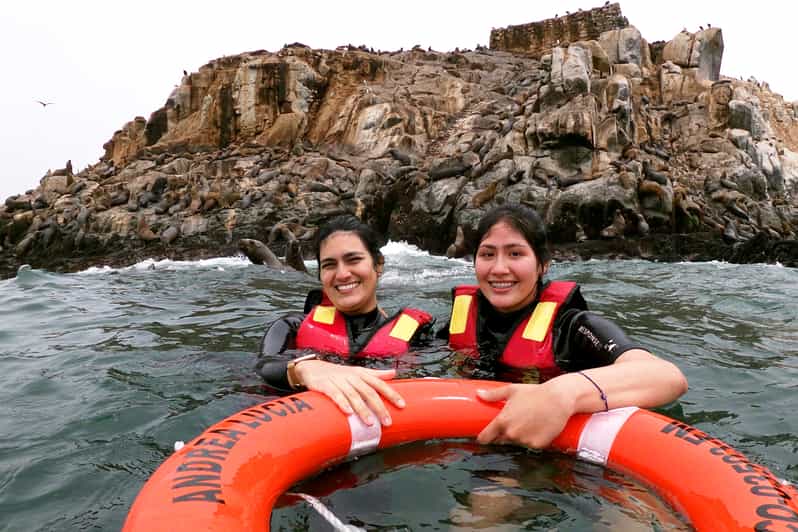 Lima: Ocean Swimming Adventure with Playful Sea lions | GetYourGuide