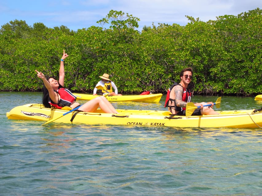 Santo Tomás: Aventura en kayak al atardecer en la Isla de los Pájaros ...