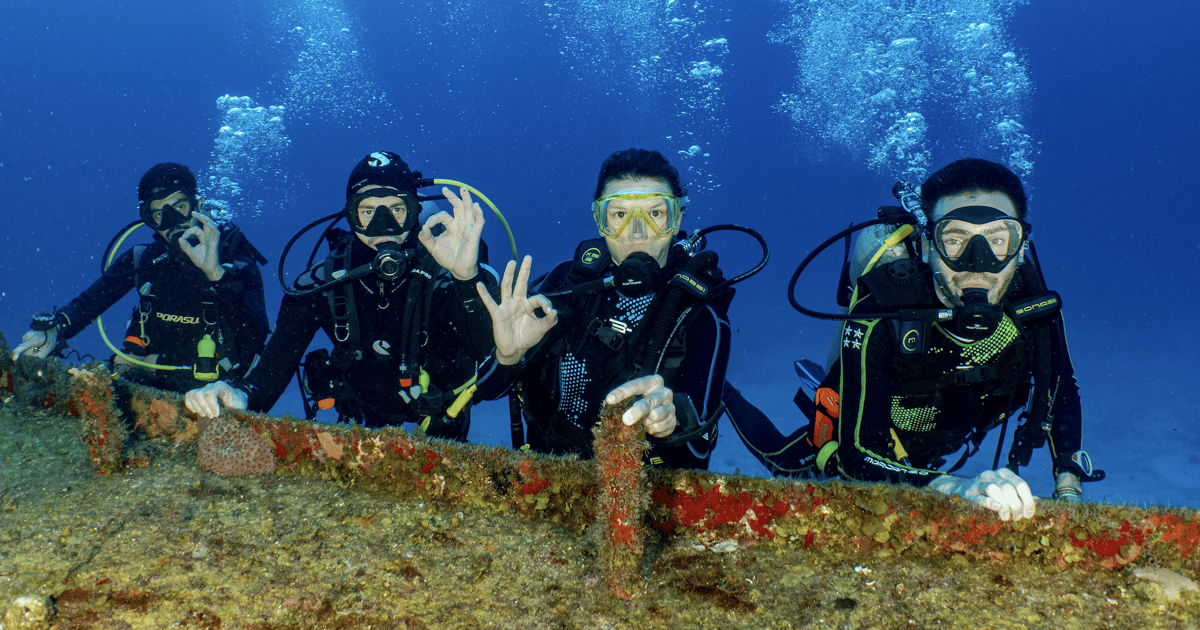 Cozumel Marine Park: Discover Scuba Diving Experience | GetYourGuide