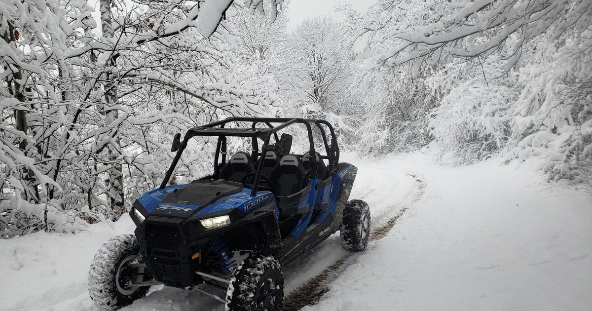 From Smolyan: Private Buggy Ride in Pamporovo Ski Resort | GetYourGuide