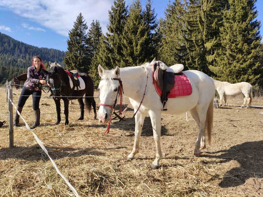 From Smolyan: Waterfalls Canyon Horseback Riding Tour | GetYourGuide