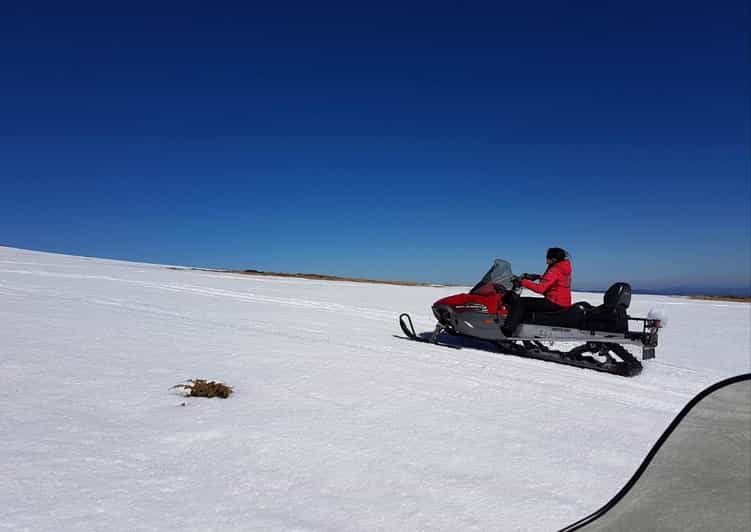 Prevala: Snowmobile Safari | GetYourGuide