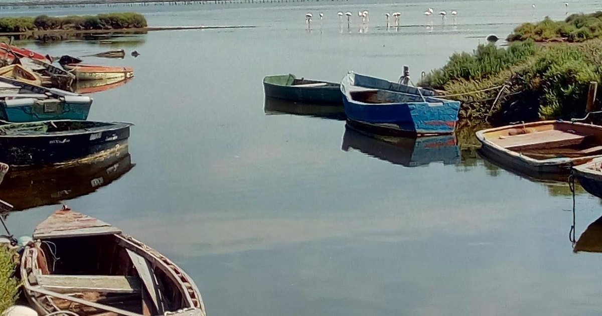 From Deltebre: Ebro Delta National Park Multi-Stop Day Trip | GetYourGuide