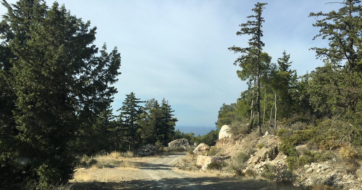 Safari na Rodos Południowym: Góry i lokalne smaki | GetYourGuide