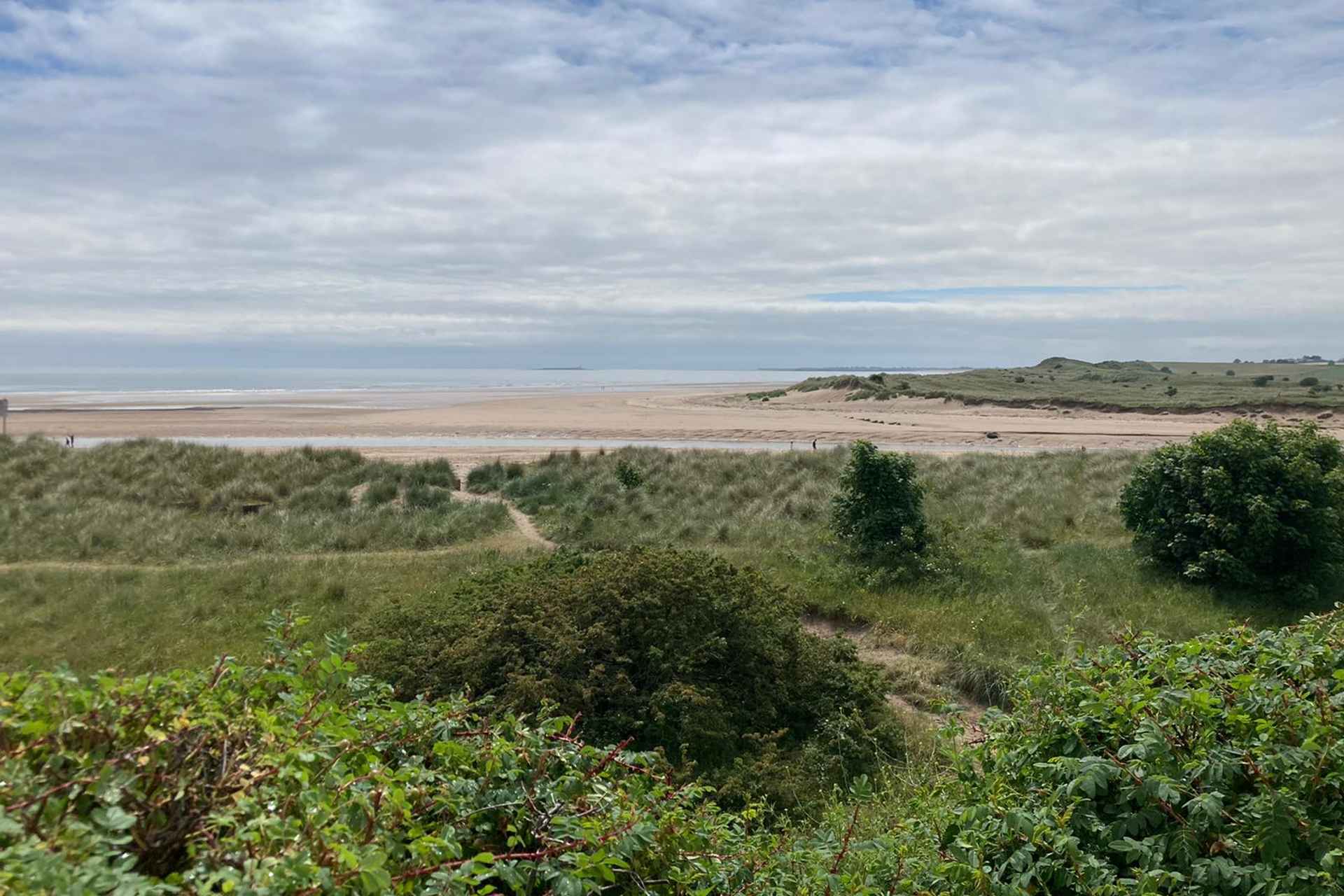 Northumberland: Full-Day Tour of Vera Filming Locations | Guide to Europe