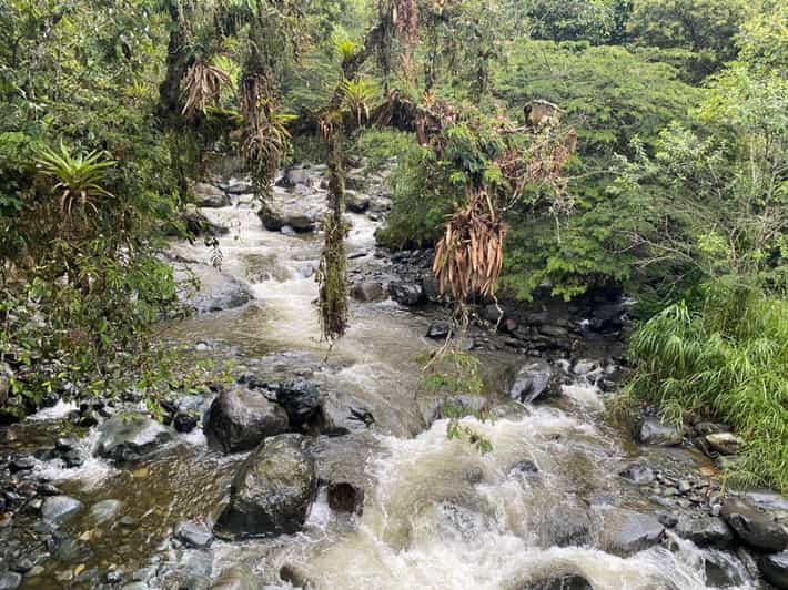 Cali: National Park Waterfalls Tour with Lunch & Transfer | GetYourGuide