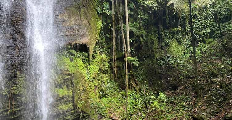 The BEST Farallones de Cali National Natural Park Tours and Things to ...