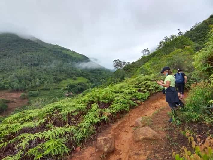 Cali: National Park Waterfalls Tour with Lunch & Transfer | GetYourGuide