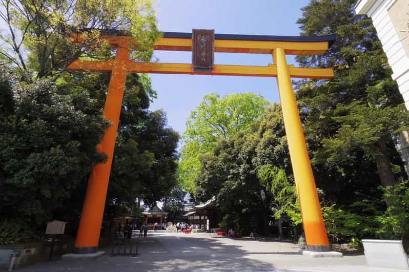 From Tokyo : SEIBU Train 1 Day Pass | GetYourGuide
