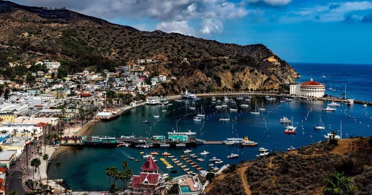 Avalon City: Sightseeing and History Tour with Audio App | GetYourGuide
