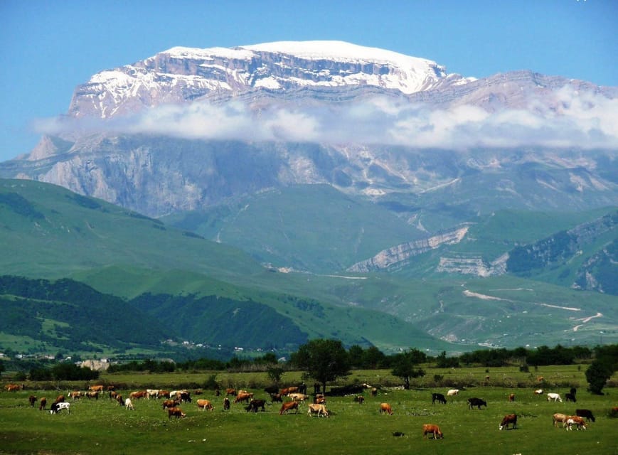 From Baku: Stay with Locals on a Gabala and Sheki 2-Day Trip | GetYourGuide