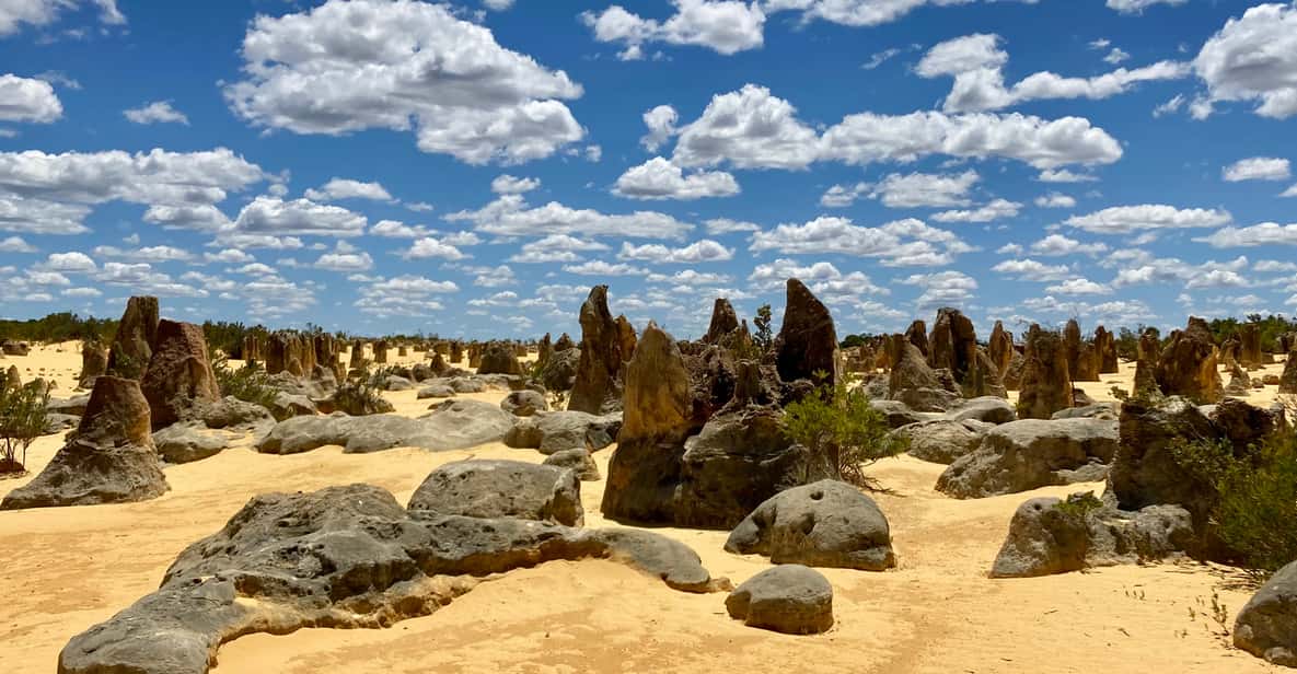 Perth: Pinnacles Desert Bush Walk Geführter Rundgang mit Mittagessen ...