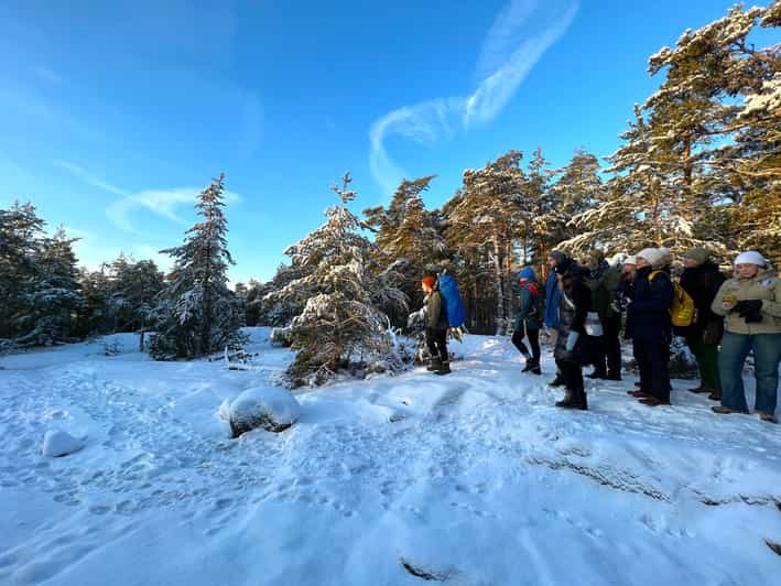 From Helsinki: Guided Archipelago Hike in Porkkala | GetYourGuide