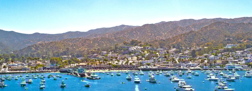 Catalina Flyer | GetYourGuide Supplier