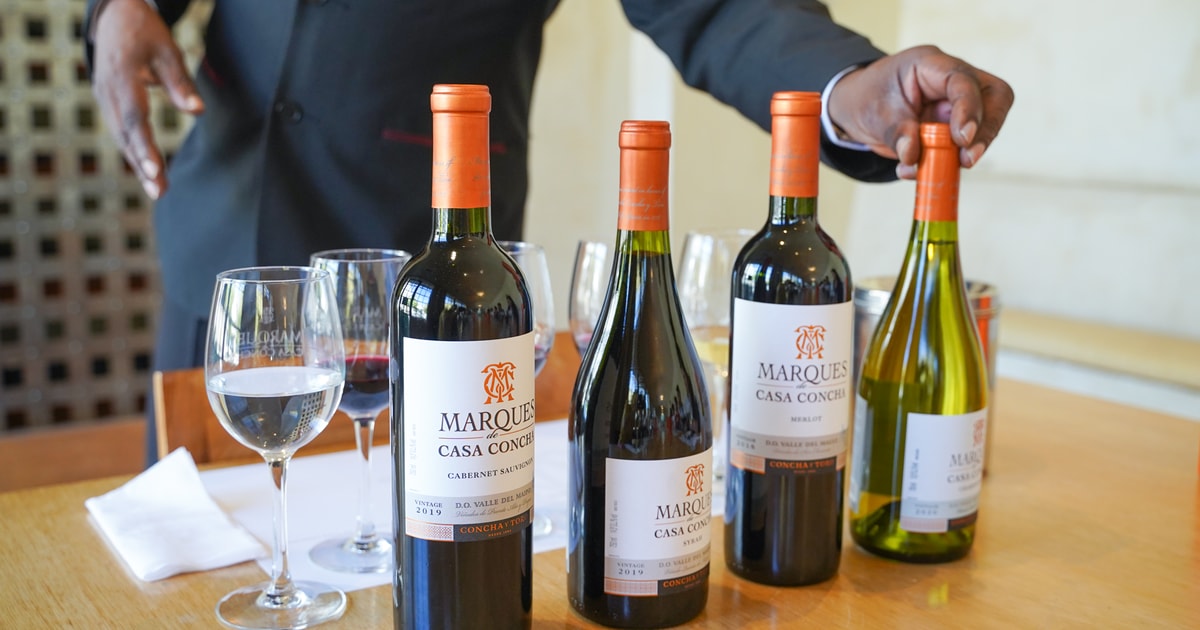 Σαντιάγο: Toro Winery Full-Day Trip w/ Wine Tasting | GetYourGuide