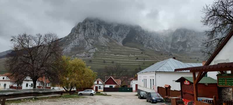 Sanctuarul de urși Libearty, Cetatea Râșnov și Castelul Bran Tour ...