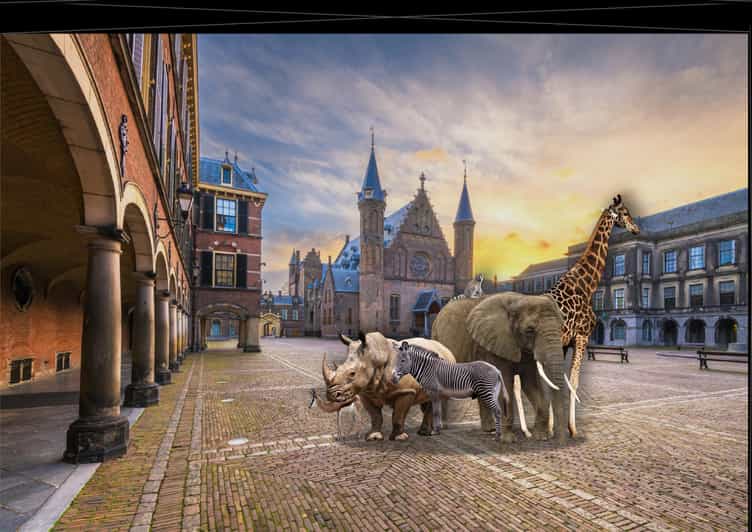 The Hague: Animals of the Hague City Family Exploration Game | GetYourGuide