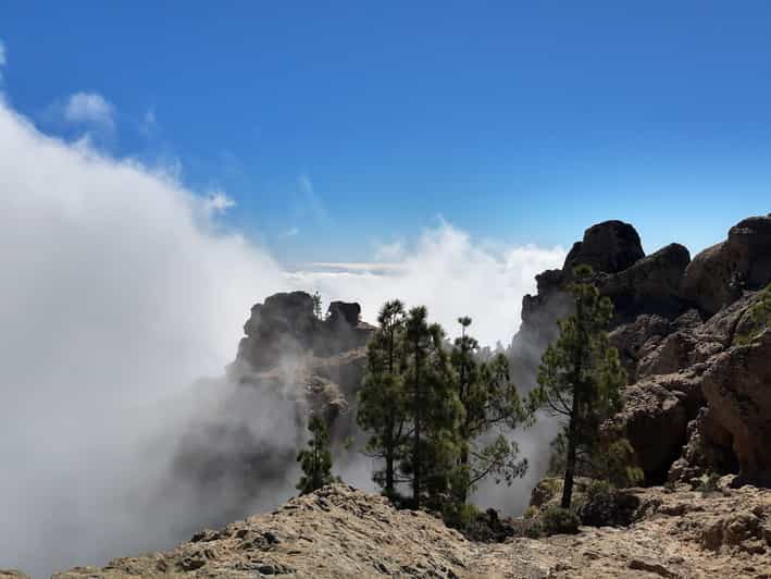 Gran Canaria: "Peaks of Gran Canaria" Hiking Tour | GetYourGuide
